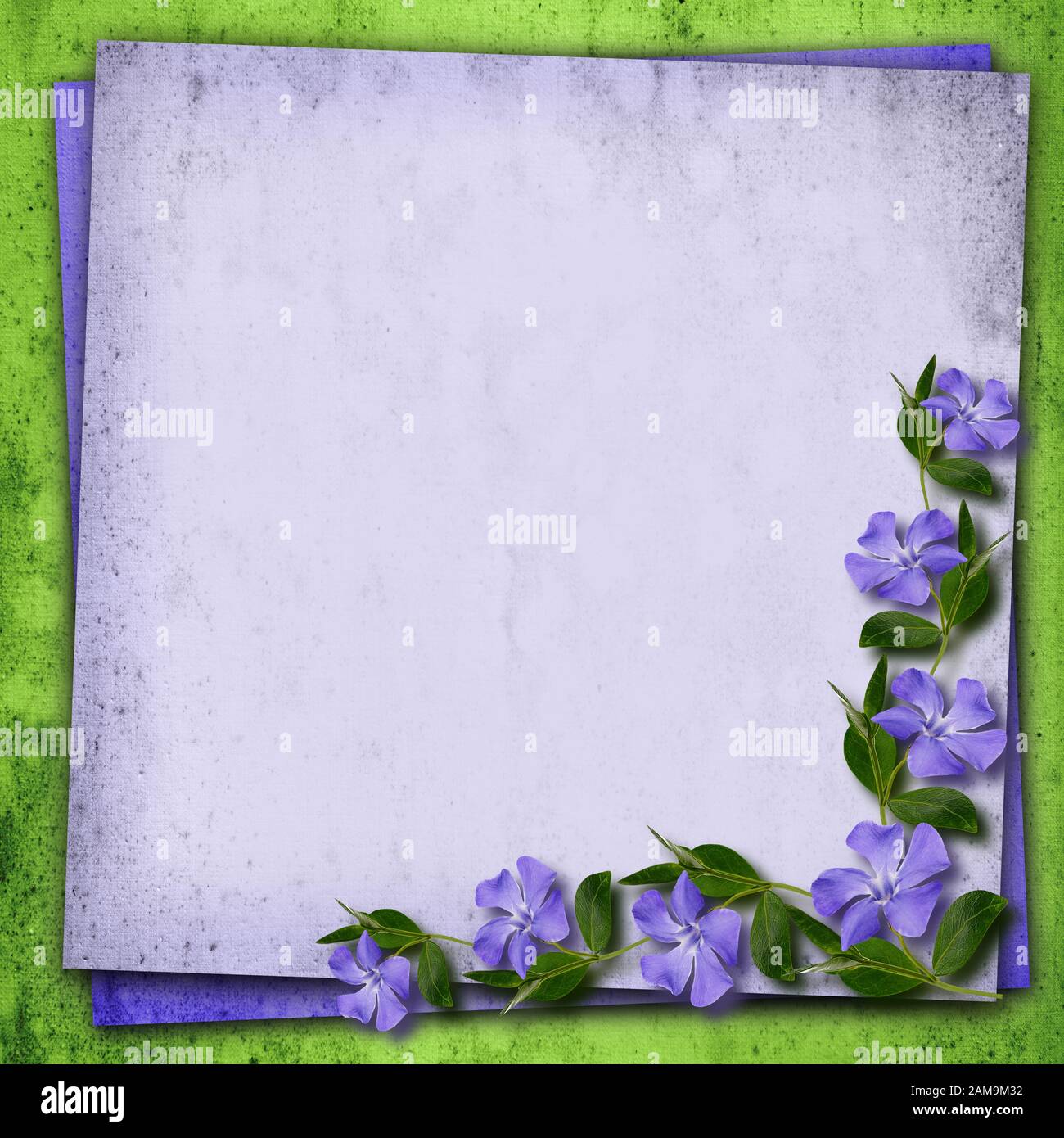 Periwinkle flowers in a corner of frame Stock Photo - Alamy