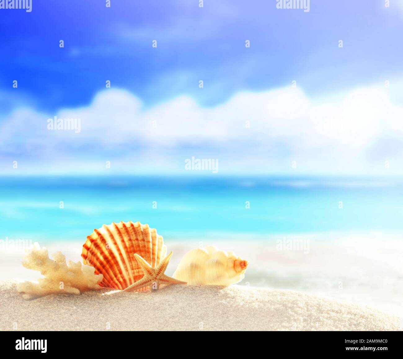 Landscape with shells on tropical beach. Summer concept Stock Photo - Alamy