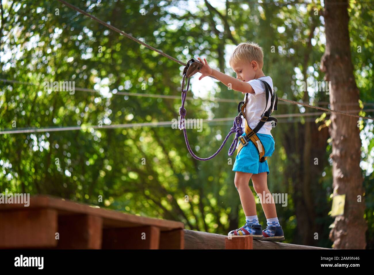 Little boy overcomes the obstacle in the rope park Stock Photo - Alamy