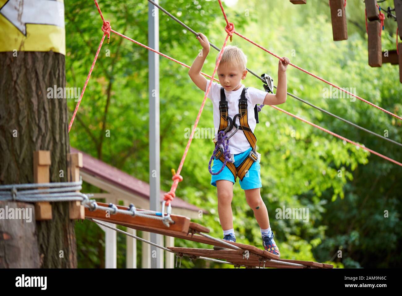 Little boy overcomes the obstacle in the rope park Stock Photo - Alamy