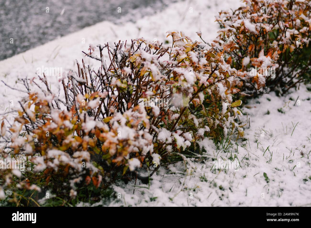 Fall cool day city street hi-res stock photography and images - Alamy