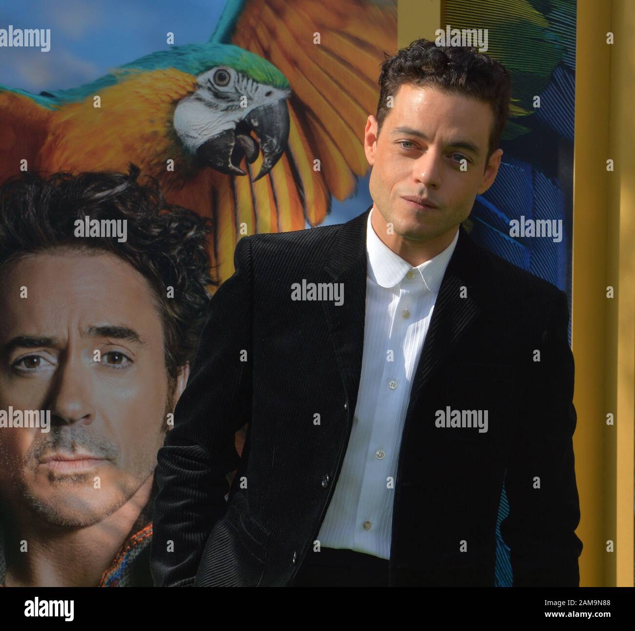 Los Angeles, United States. 12th Jan, 2020. Cast member Rami Malek ...