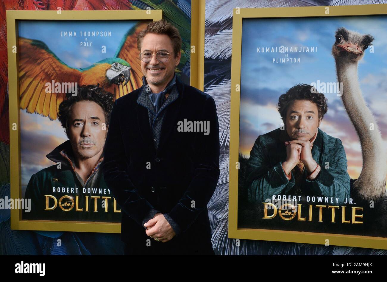Dolittle robert downey cast hi-res stock photography and images - Alamy