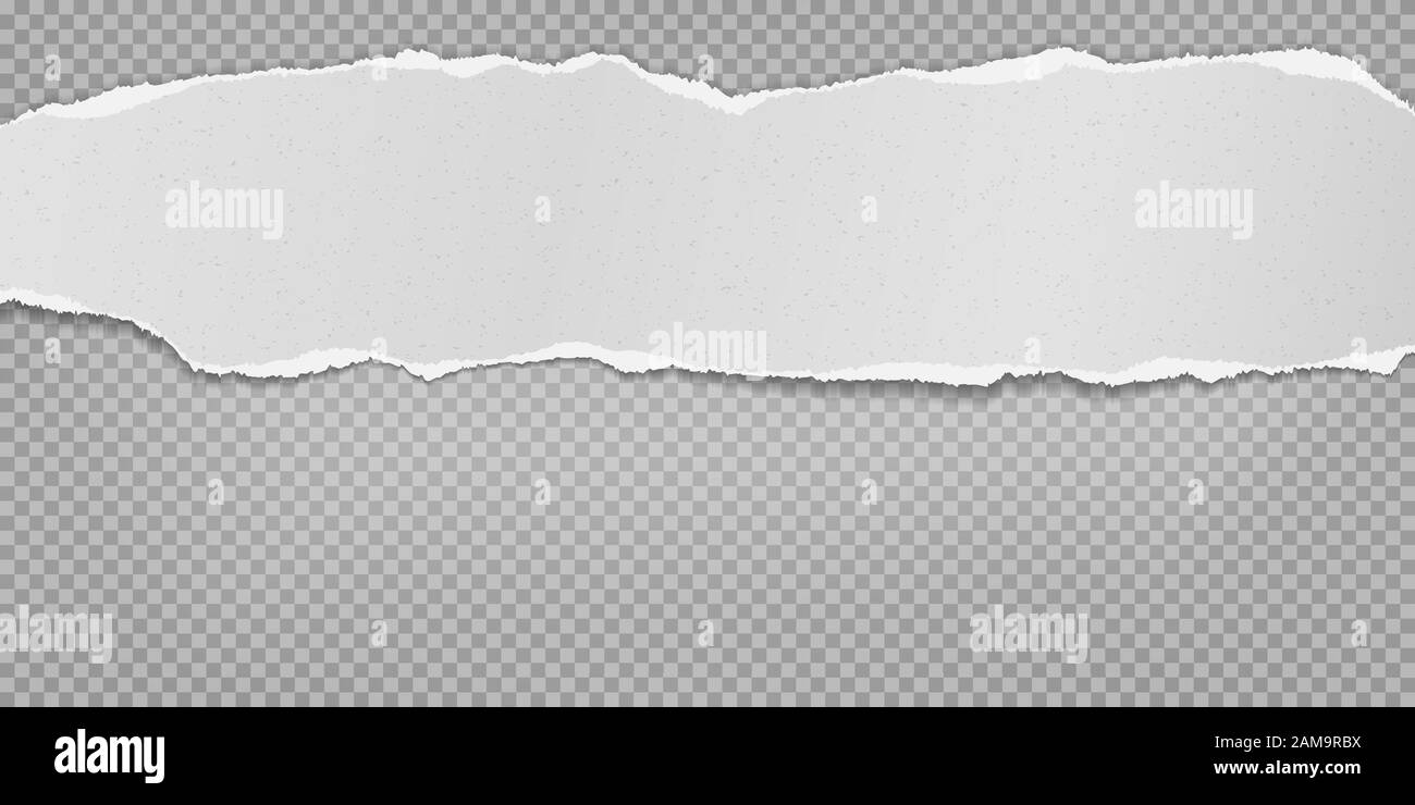 Piece of torn horizontal white paper strip with soft shadow is on white ...