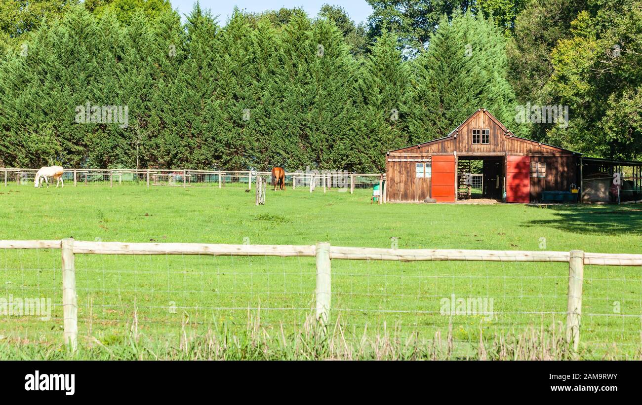 Scenic view of equestrian stable barn two horses in field paddock ...
