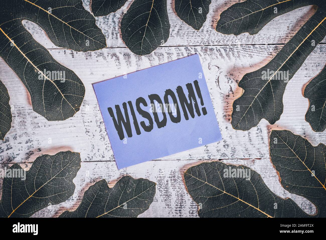 Handwriting text writing Wisdom. Conceptual photo the ability to use ...