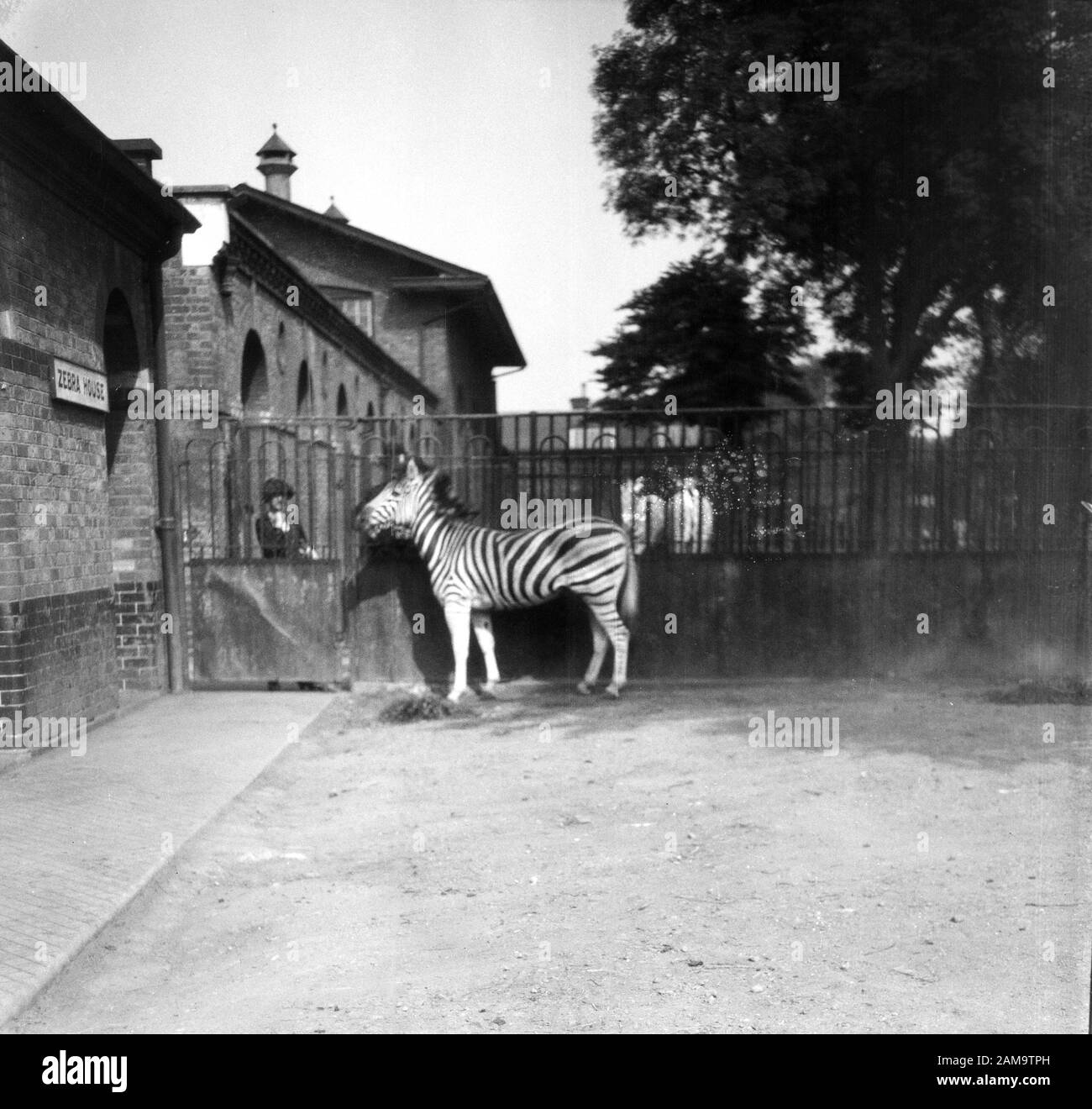London 1920s Black and White Stock Photos & Images - Alamy
