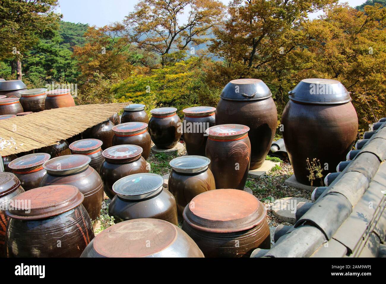 INCHEON, SOUTH KOREA - OCTOBER 21,2019: Dozens of large clay pots hold ...