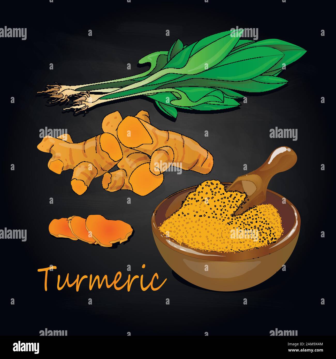Turmeric (Curcuma longa Linn) set on plate. Black background vector ...