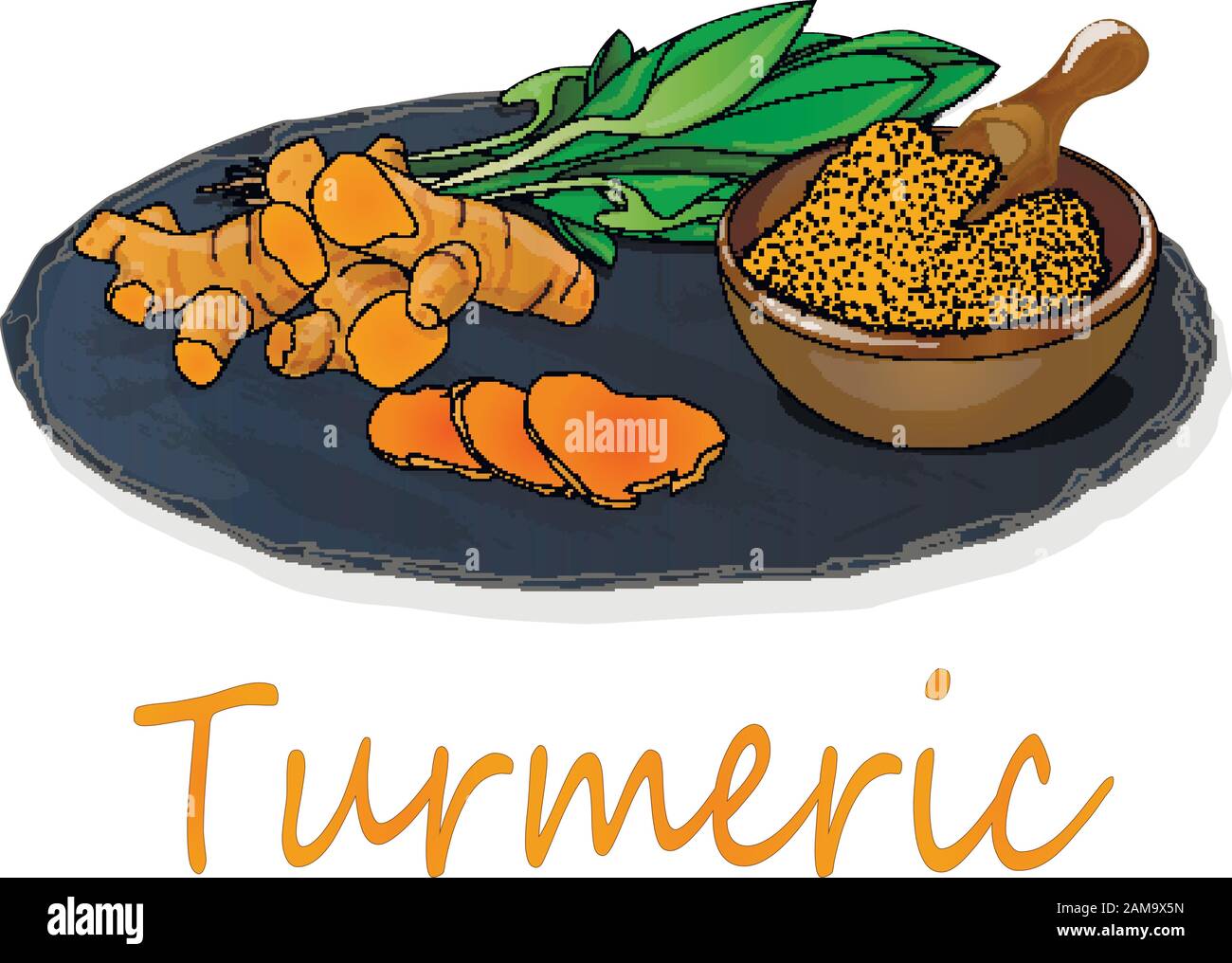 Turmeric (Curcuma longa Linn) set on plate. White background vector ...