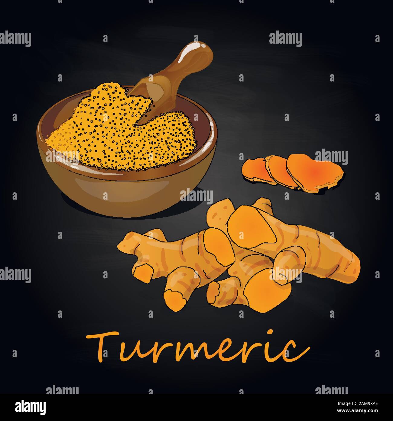 Turmeric (Curcuma longa Linn) set on plate. Black background vector ...