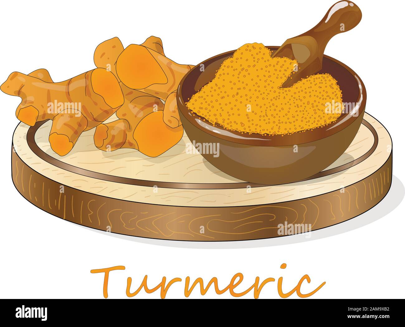 Turmeric (Curcuma longa Linn) set on plate. White background vector ...
