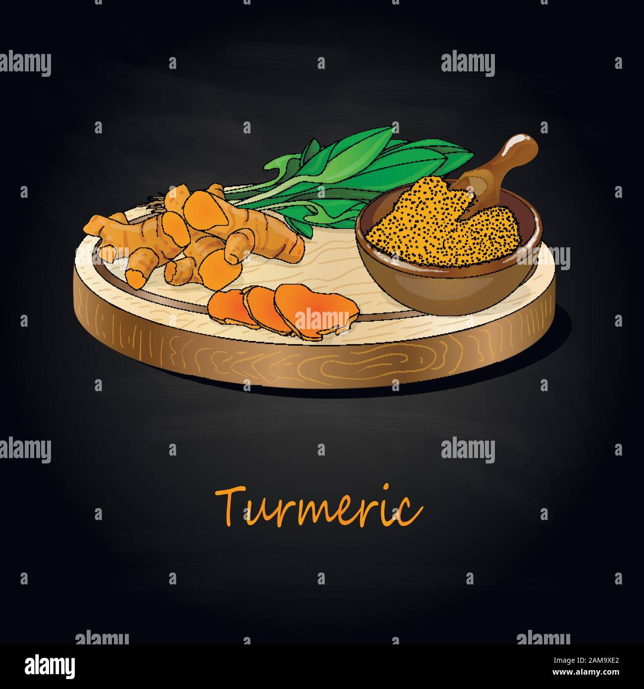 Turmeric (Curcuma longa Linn) set on plate. Black background vector ...