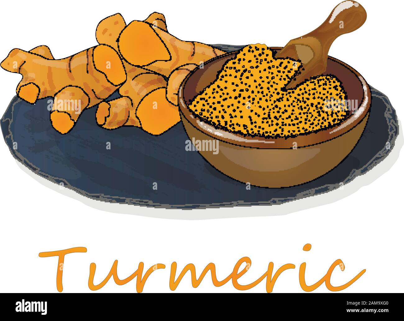 Turmeric (Curcuma longa Linn) set on plate. White background vector ...