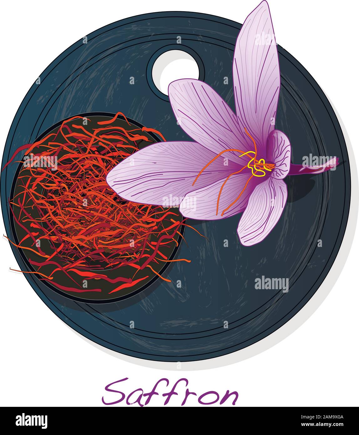 Safron illustration Stock Vector Images - Alamy