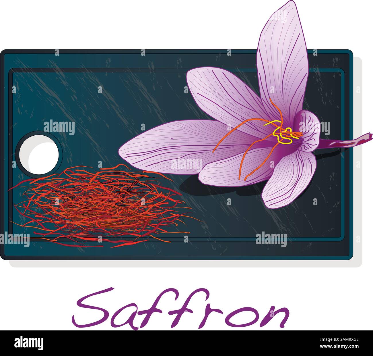 Safron illustration hi-res stock photography and images - Alamy