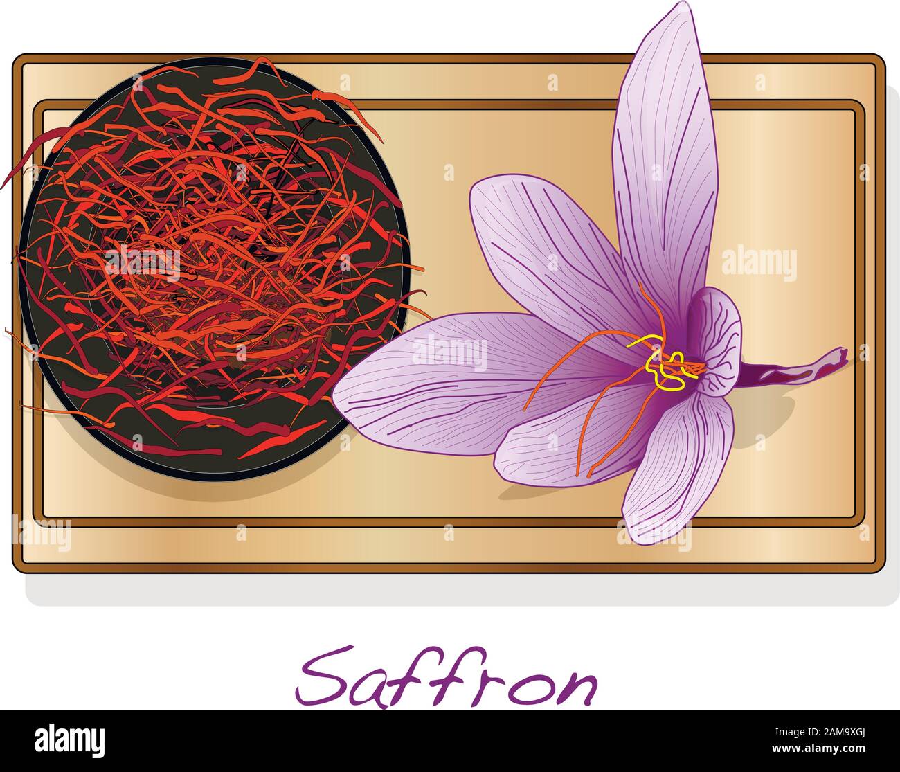 Saffron flower on the dish illustration set. Vector isolated Stock ...