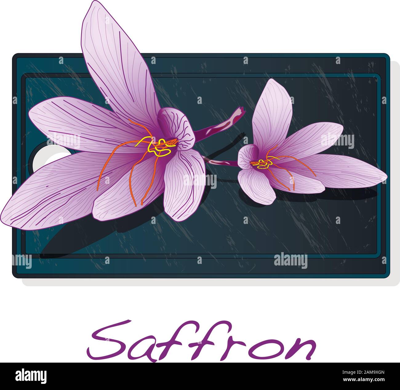 Safron illustration Cut Out Stock Images & Pictures - Alamy