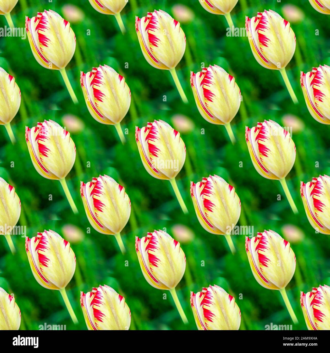 Seamless environment hi-res stock photography and images - Alamy