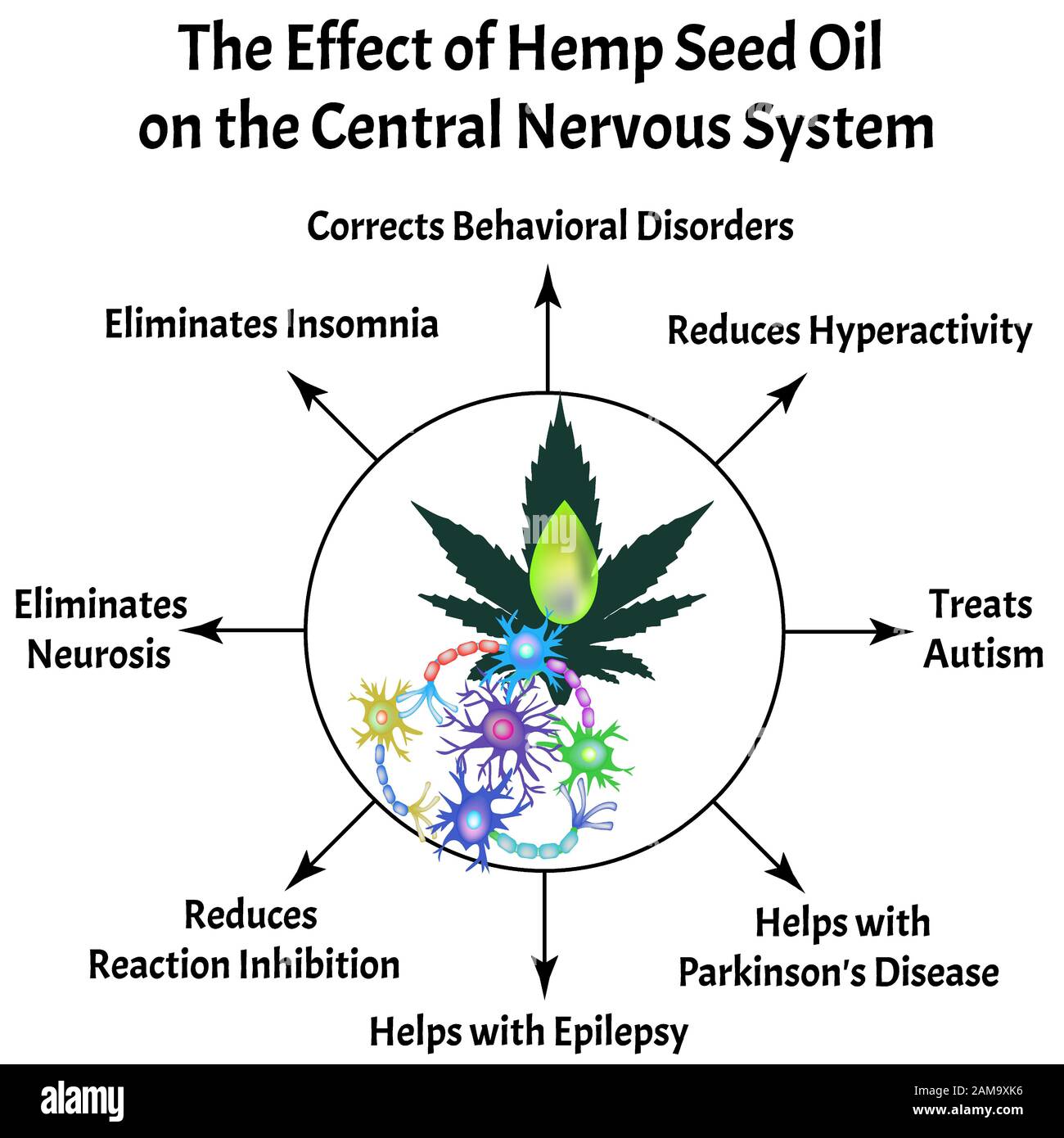 The Effect Of Hemp Seed Oil On The Central Nervous System Synapses Of Neurons Neural
