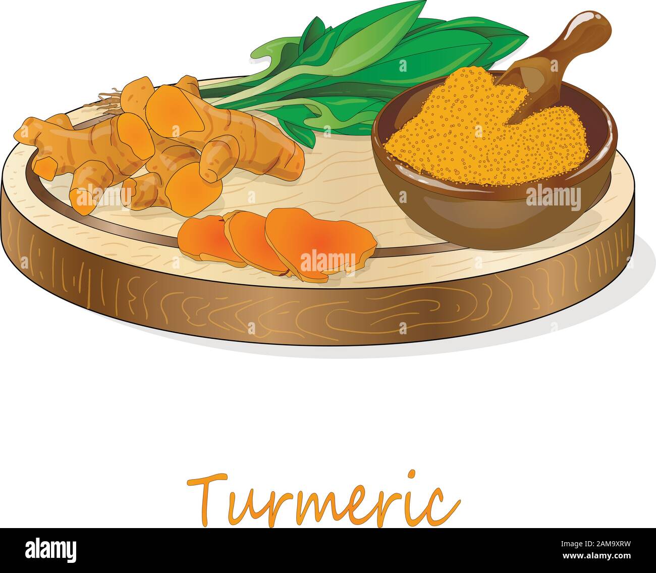 Turmeric (Curcuma longa Linn) set on plate. White background vector ...