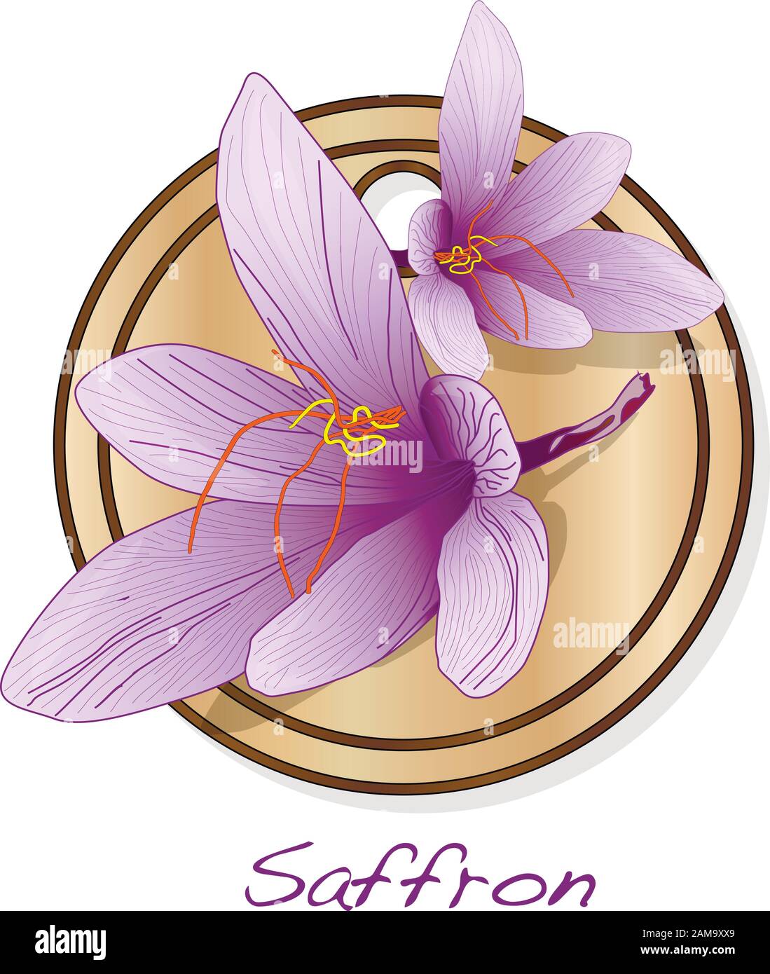 Saffron flower on the dish illustration set. Vector isolated Stock ...