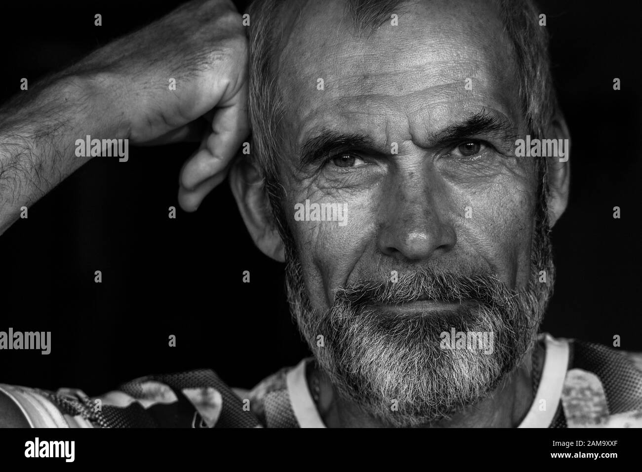 Grey beard and moustache hi-res stock photography and images - Alamy