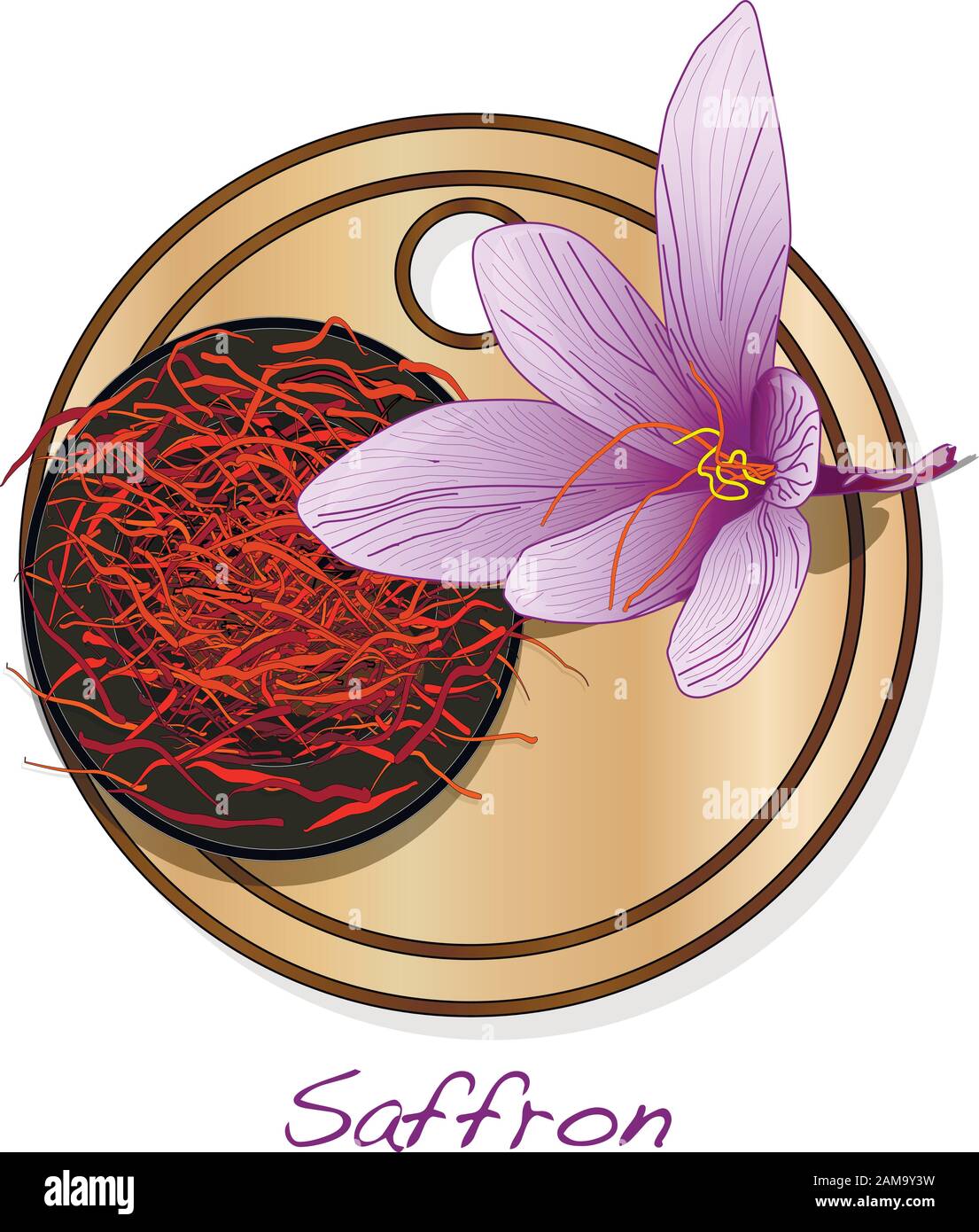 Safron illustration Stock Vector Images - Alamy