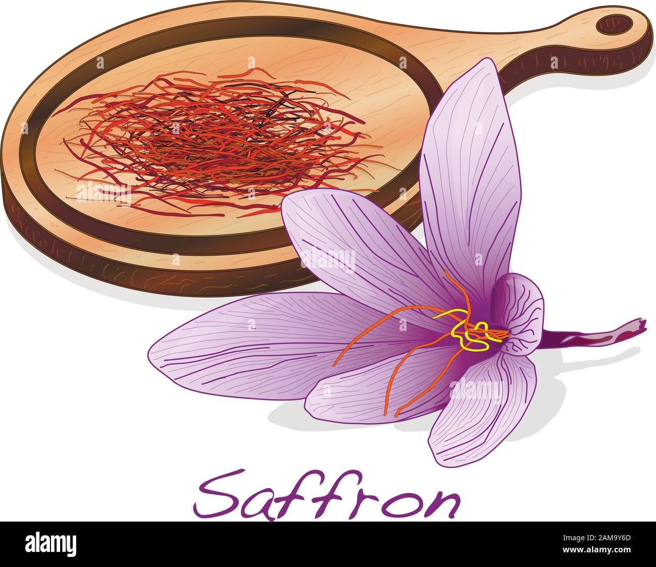 Saffron flower on the dish illustration set. Vector isolated Stock ...