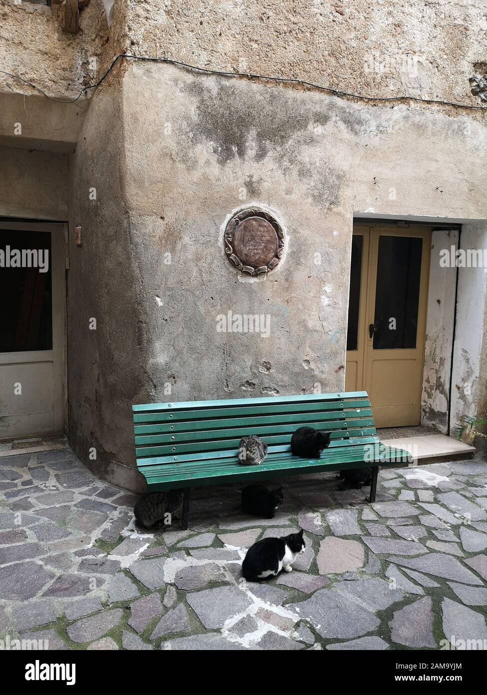 Cats of italy hi-res stock photography and images - Alamy