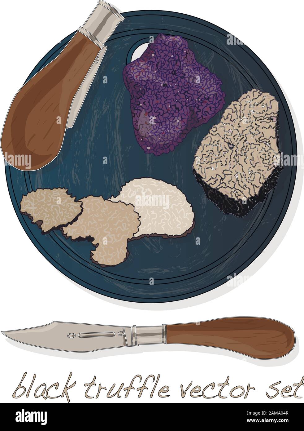 Black truffle illustration set on dish isolated white background Stock ...