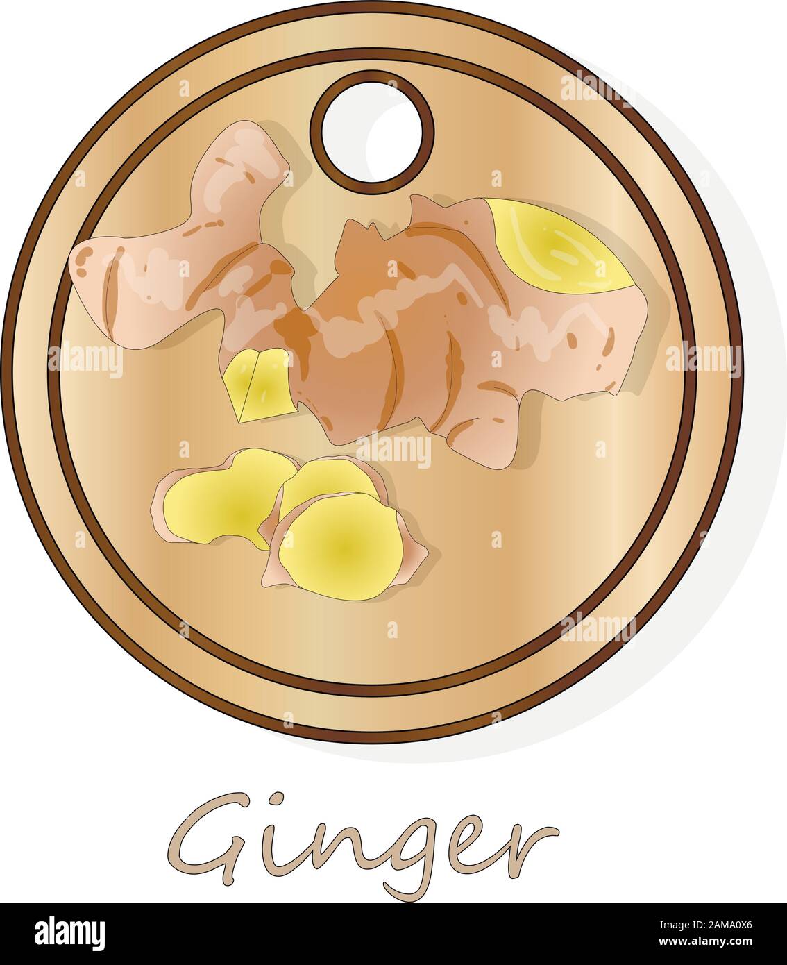 Plate with fresh ginger on white background illustration set. Vector ...