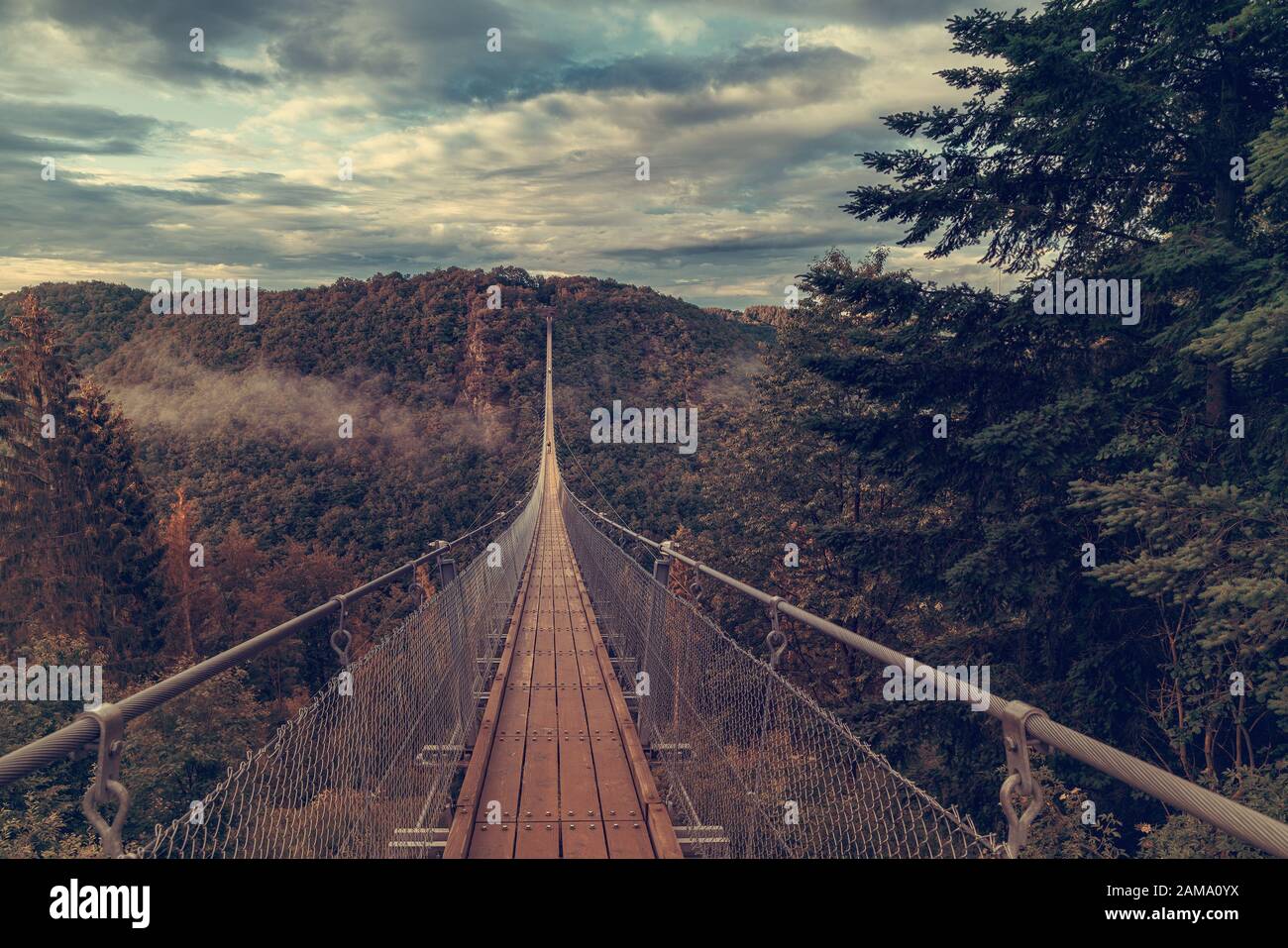 View of a suspension bridge in Germany, Geierlay Stock Photo - Alamy