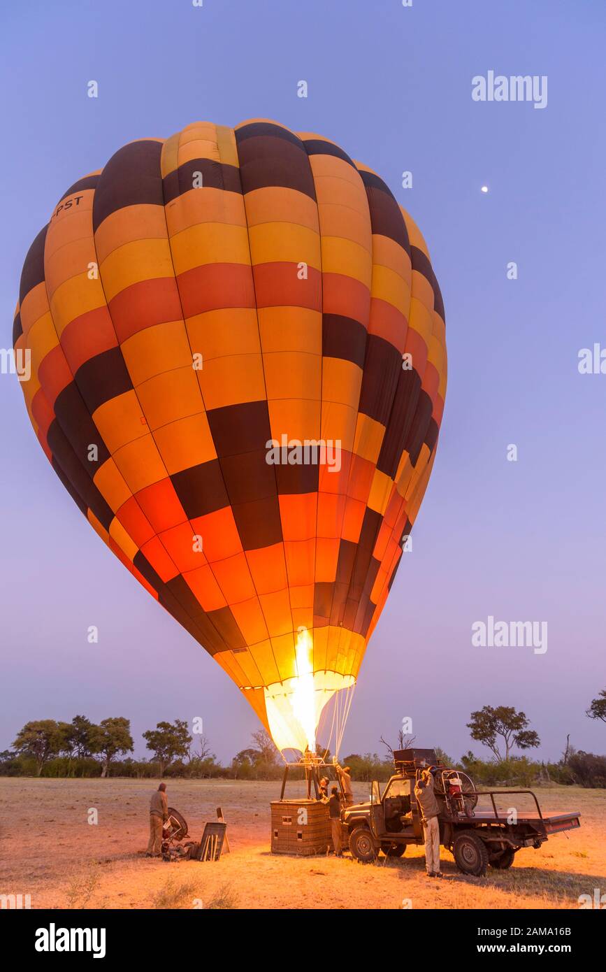 Hot air balloon being inflated at dawn, Bushman Plains, Okavanago Delta ...