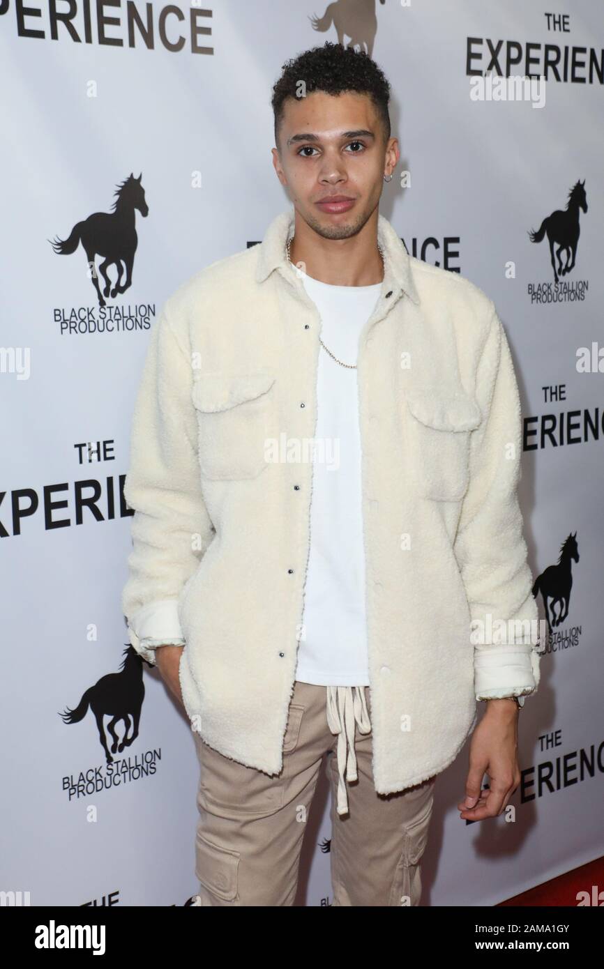 Premiere of 'The Experience' at the TCL Chinese 6 Theatres in Los ...