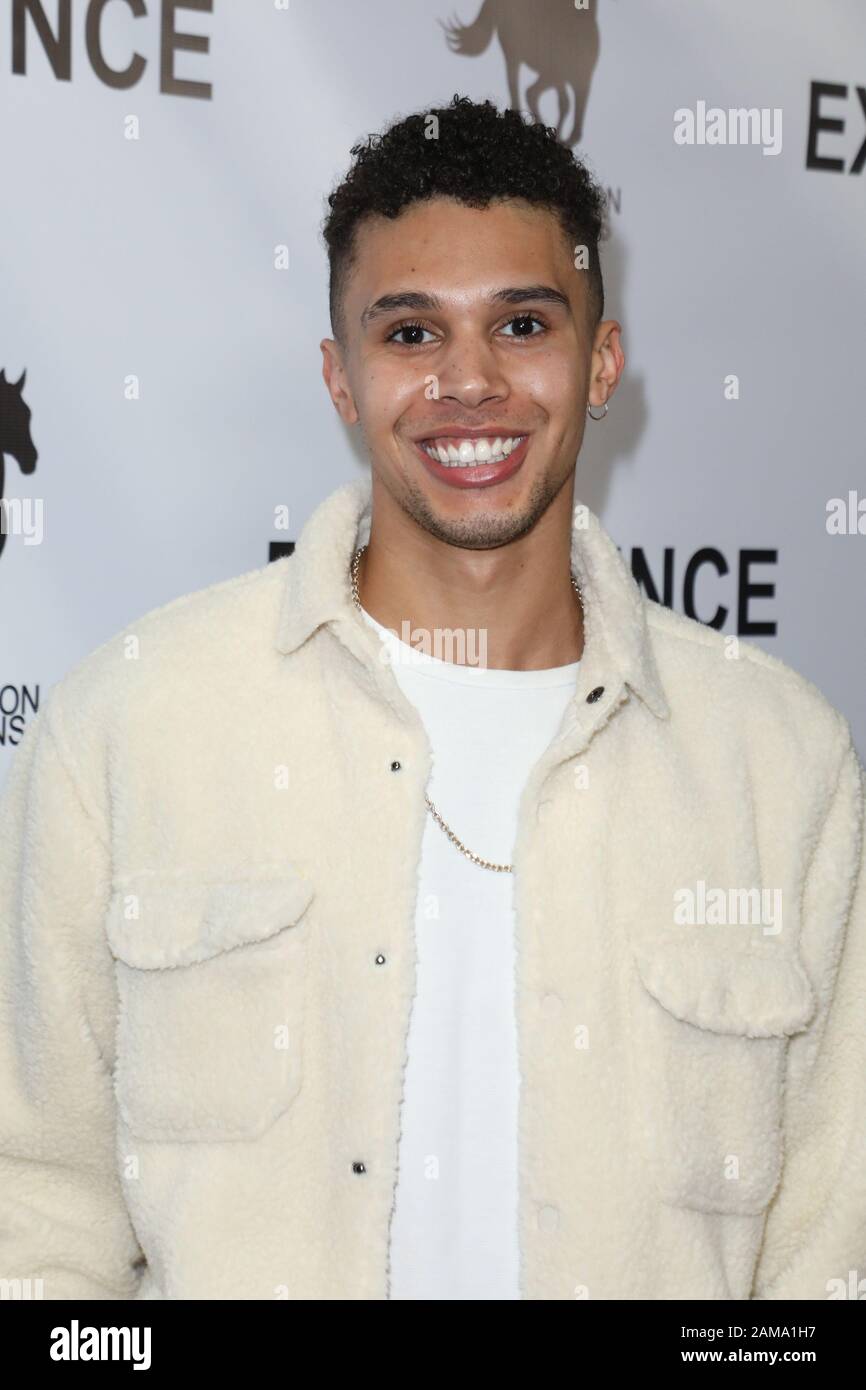 Premiere of 'The Experience' at the TCL Chinese 6 Theatres in Los ...