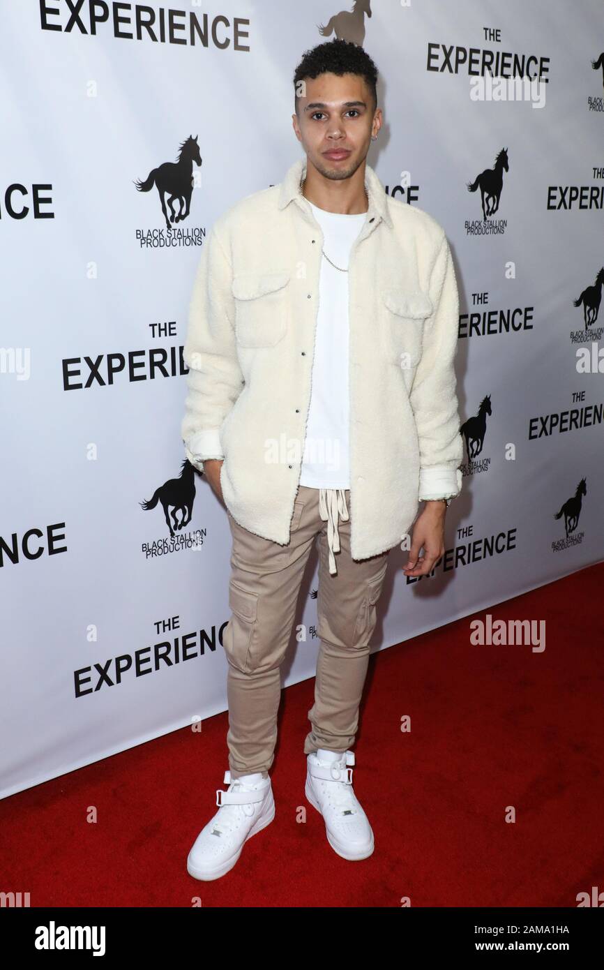 Premiere of 'The Experience' at the TCL Chinese 6 Theatres in Los ...