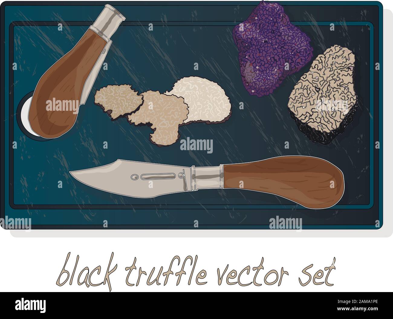 Black truffle illustration set on dish isolated white background Stock ...