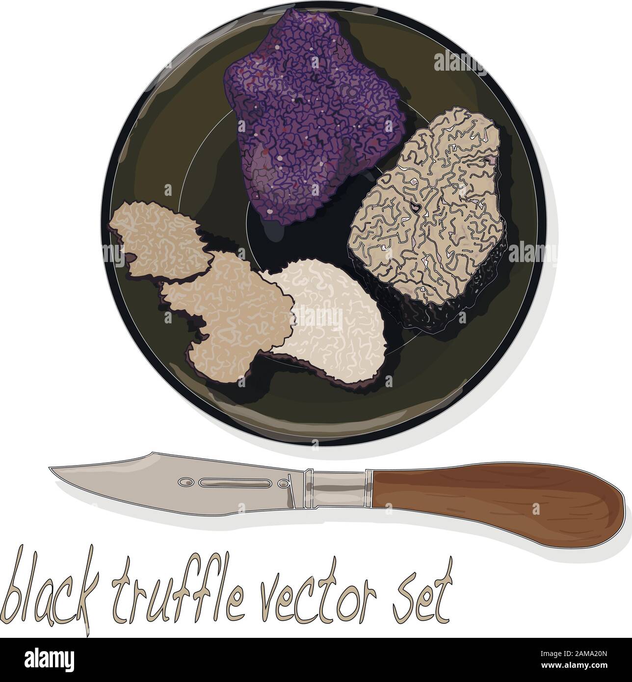 Black truffle illustration set on dish isolated white background Stock ...