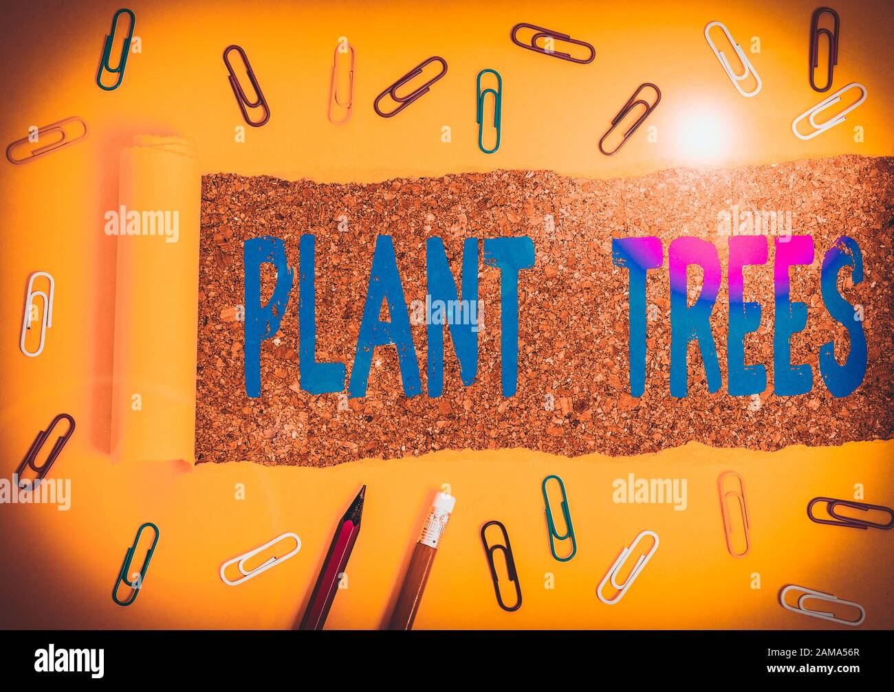 Conceptual hand writing showing Plant Trees. Concept meaning process of ...