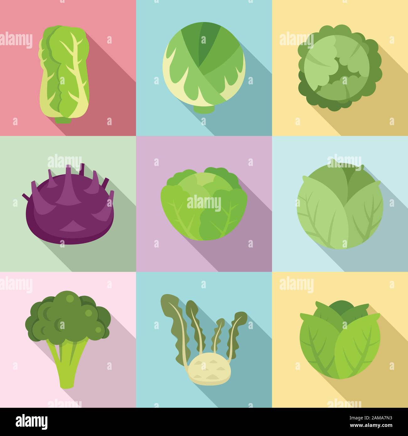 Cabbage icons set. Flat set of cabbage vector icons for web design ...