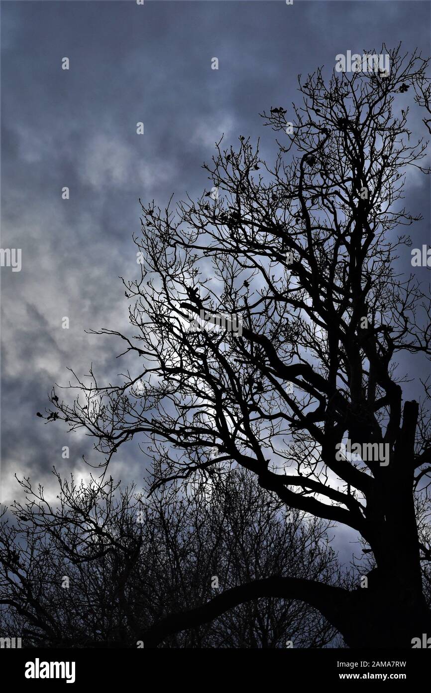 Looming shadow hi-res stock photography and images - Alamy