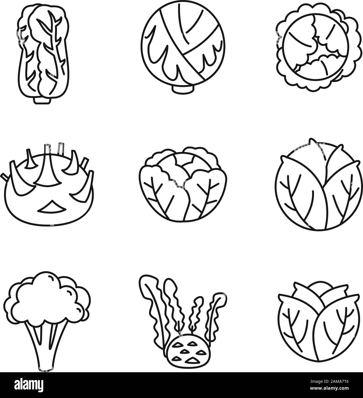Agriculture cabbage icons set. Outline set of agriculture cabbage ...