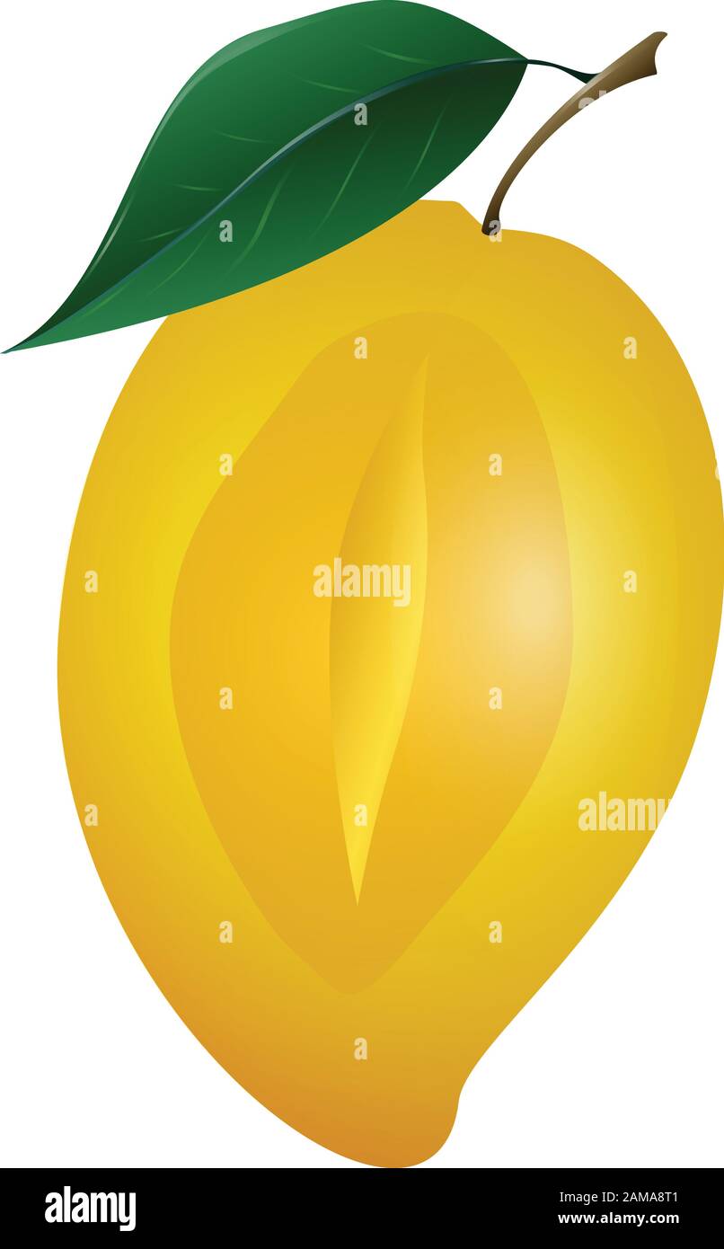 Half mango icon. Cartoon of half mango vector icon for web design ...