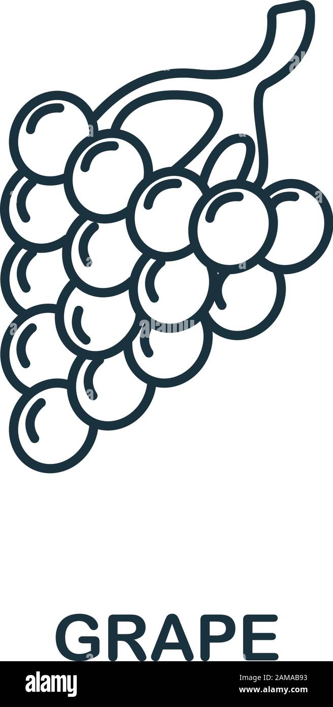 Grape icon from fruits collection. Simple line element grape symbol for ...