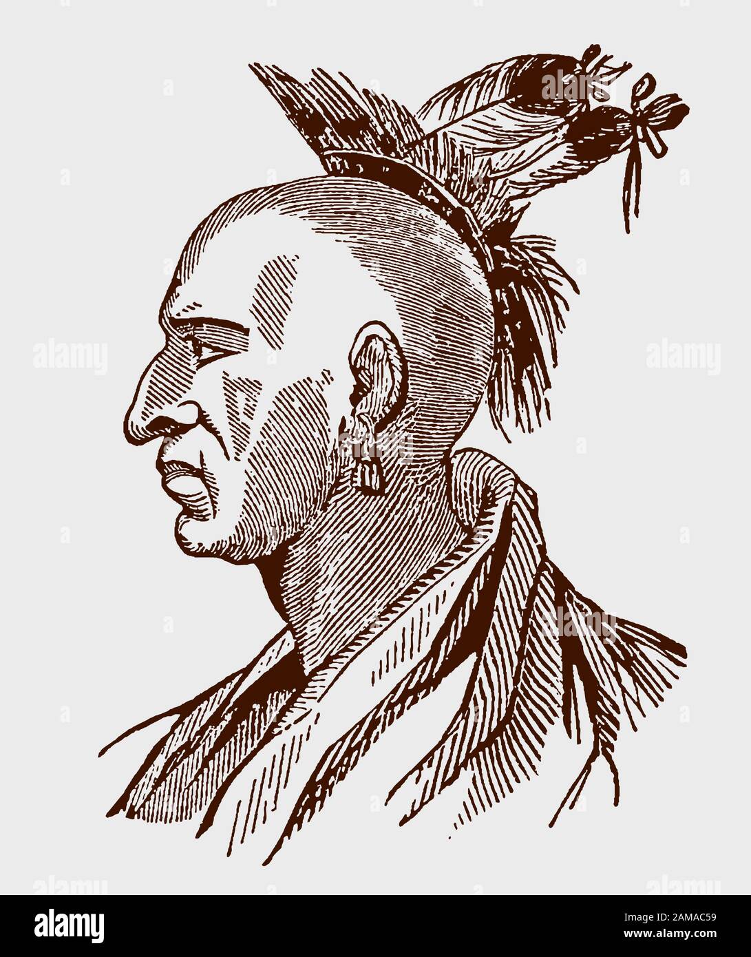 Cayuga nation Stock Vector Images - Alamy