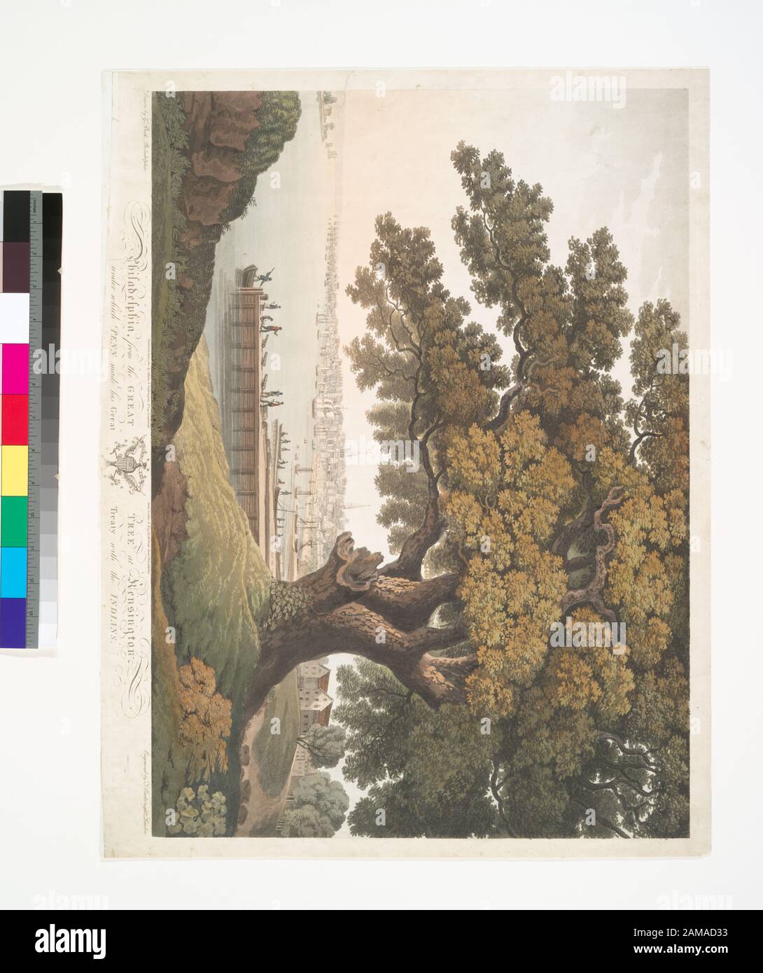 Penn treaty tree hi-res stock photography and images - Alamy