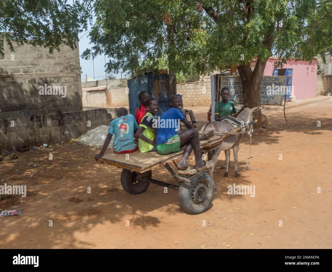 Nianing, Senegal - January 24, 2019: young boys are riding donkey cart on the senegalese road ...