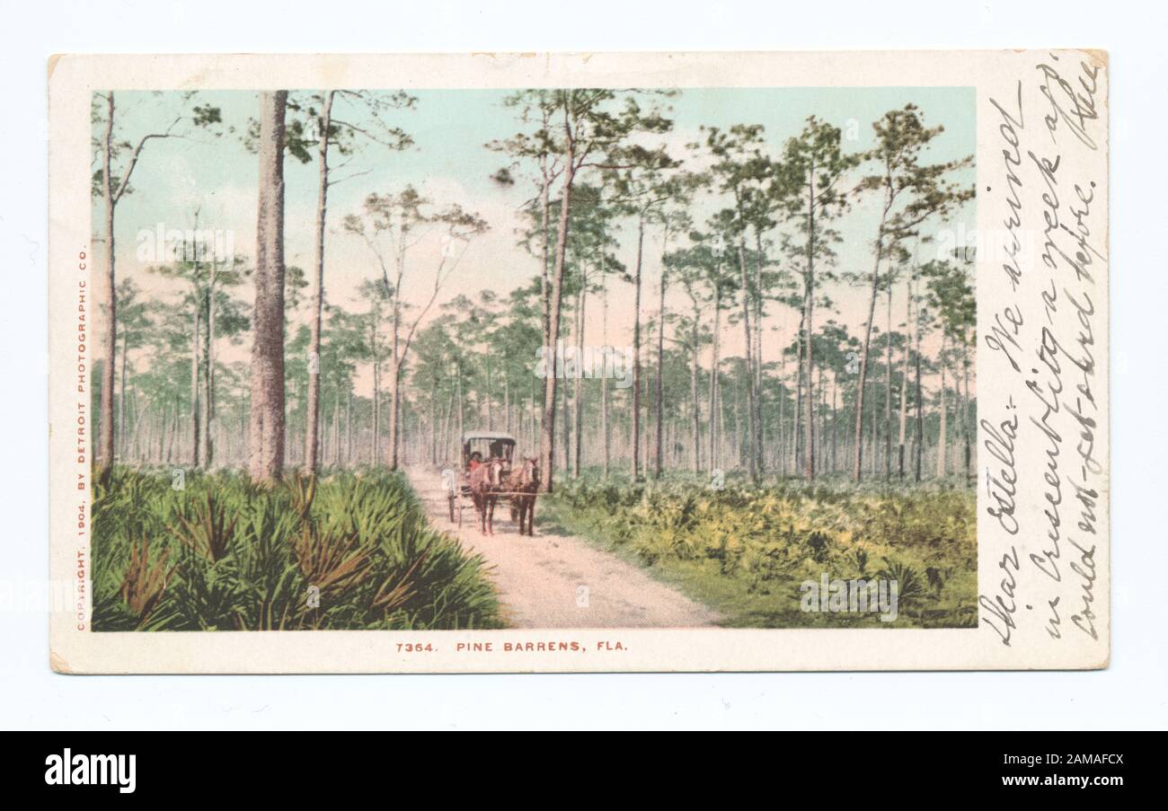 Florida Postcard High Resolution Stock Photography and Images - Alamy