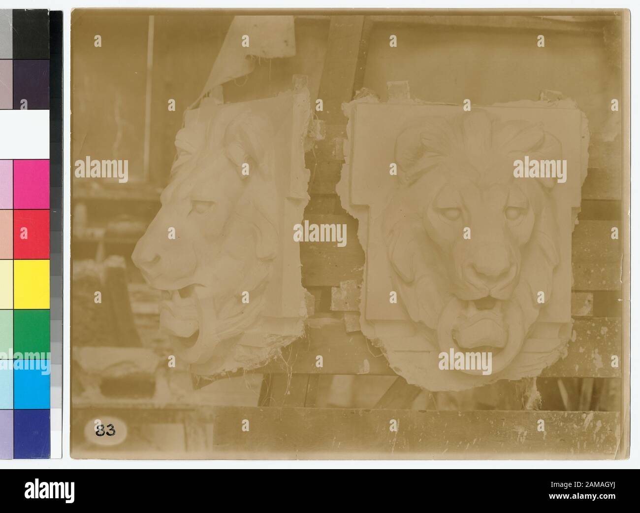 Plaster models of a lion's head Plaster models of a lion's head ...